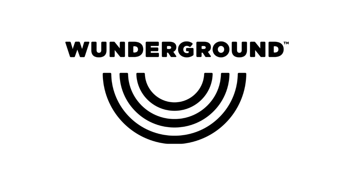 Wunderground Cafe | Seattle, WA | Adaptogenic Mushrooms + Seasonal Fare